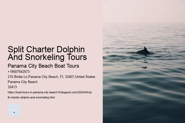 Split Charter Dolphin And Snorkeling Tours